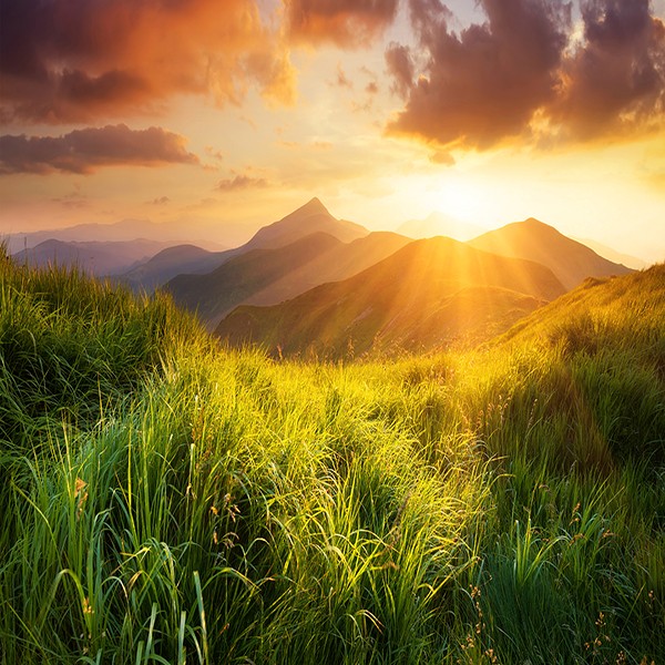 Extending the lifespan of gears can not only reduce equipment ...